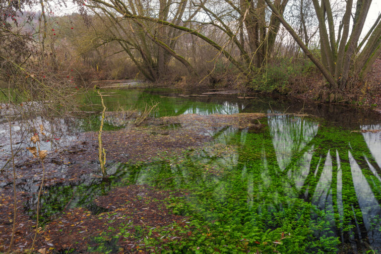 Salzaquelle • Erkunde Deutschland